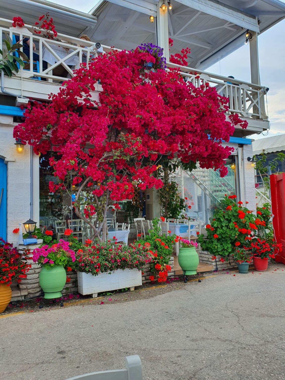 Lefkada Food Travel Guide: Where to eat the best food - Make this a Journey